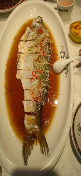 大白鱼怎么做好吃_清蒸大白鱼的做法步骤-第2张图片-山城妙识 大白鱼怎么做好吃_清蒸大白鱼的做法步骤-第2张图片-山城妙识