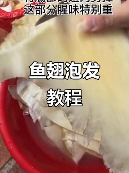 新鲜鱼翅怎么泡发_鱼翅家常做法步骤-第1张图片-山城妙识 新鲜鱼翅怎么泡发_鱼翅家常做法步骤-第1张图片-山城妙识