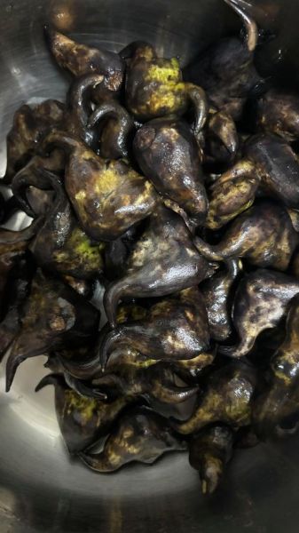 菱角怎么煮好吃_菱角的做法大全-第3张图片-山城妙识 菱角怎么煮好吃_菱角的做法大全-第3张图片-山城妙识