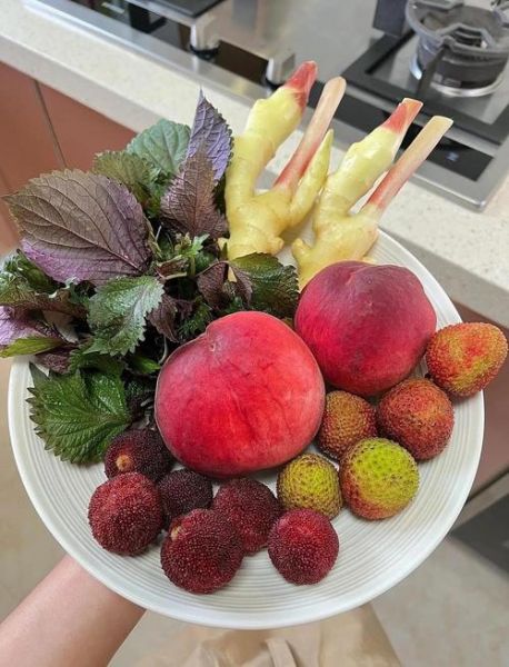 紫苏杨梅桃子姜怎么做_正宗腌制比例-第1张图片-山城妙识 紫苏杨梅桃子姜怎么做_正宗腌制比例-第1张图片-山城妙识