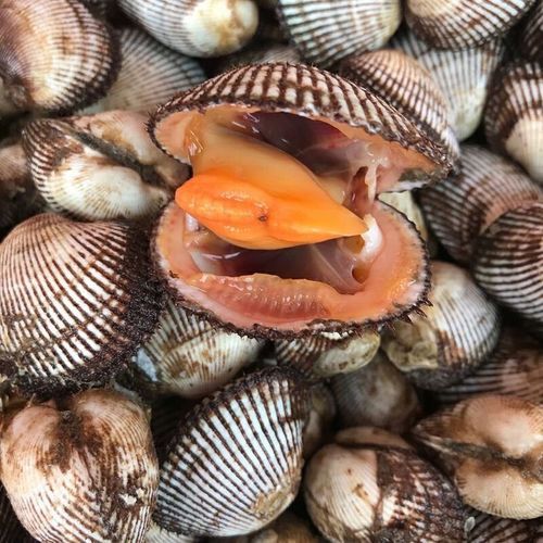 毛哈利怎么做_毛哈利做法步骤-第2张图片-山城妙识 毛哈利怎么做_毛哈利做法步骤-第2张图片-山城妙识