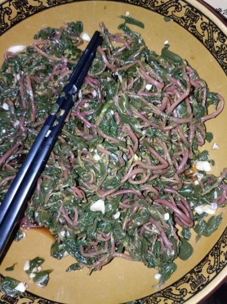 马蜂菜怎么做好吃_马蜂菜的做法大全-第3张图片-山城妙识 马蜂菜怎么做好吃_马蜂菜的做法大全-第3张图片-山城妙识