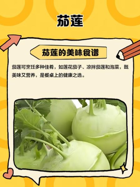 茄莲怎么炒好吃_茄莲的家常做法-第1张图片-山城妙识 茄莲怎么炒好吃_茄莲的家常做法-第1张图片-山城妙识