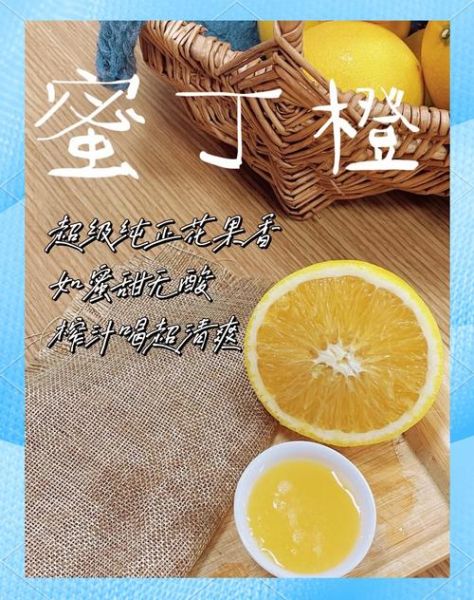 木瓜果汁怎么做_木瓜果汁的做法大全-第3张图片-山城妙识 木瓜果汁怎么做_木瓜果汁的做法大全-第3张图片-山城妙识