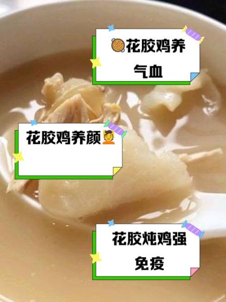 花胶炖鸡的做法_花胶炖鸡的功效与禁忌-第2张图片-山城妙识