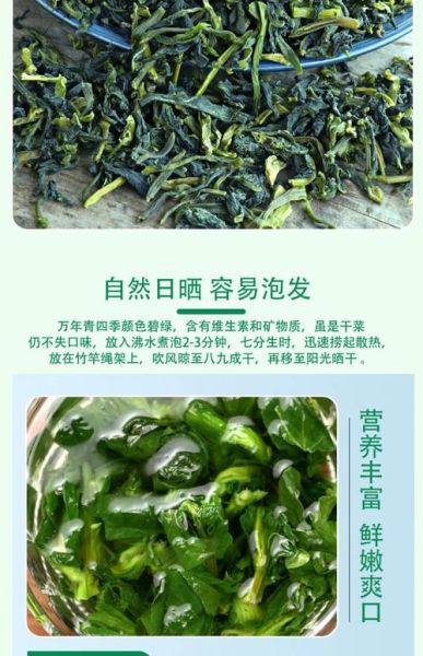 万年青干菜怎么泡发_万年青干菜怎么炒好吃-第1张图片-山城妙识