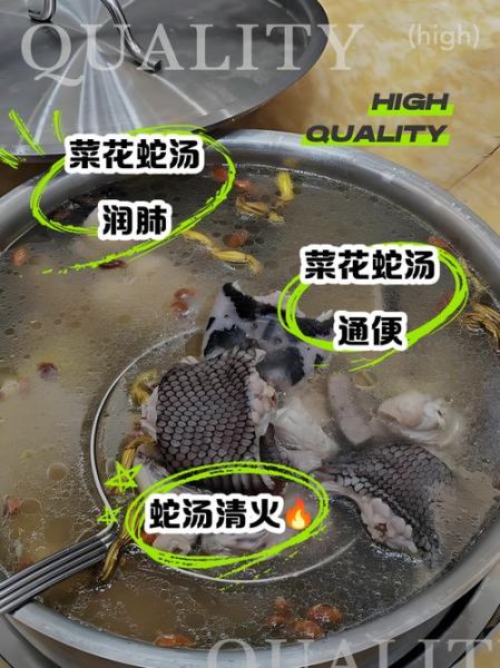 蛇汤怎么煲_蛇汤做法步骤详解-第2张图片-山城妙识