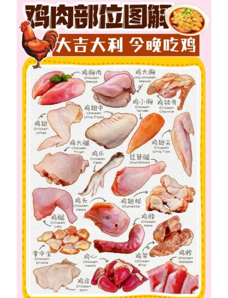 鸡肉辅食怎么做_宝宝第一次吃鸡选哪部位-第1张图片-山城妙识 鸡肉辅食怎么做_宝宝第一次吃鸡选哪部位-第1张图片-山城妙识