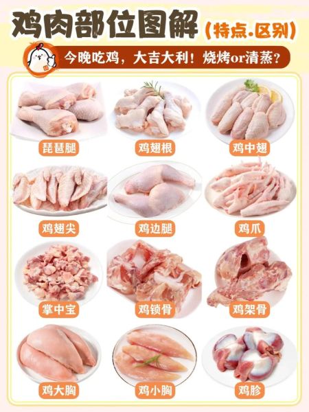 鸡肉辅食怎么做_宝宝第一次吃鸡选哪部位-第3张图片-山城妙识 鸡肉辅食怎么做_宝宝第一次吃鸡选哪部位-第3张图片-山城妙识
