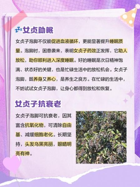 女贞子泡水喝的功效与作用_女贞子主治什么病-第2张图片-山城妙识 女贞子泡水喝的功效与作用_女贞子主治什么病-第2张图片-山城妙识
