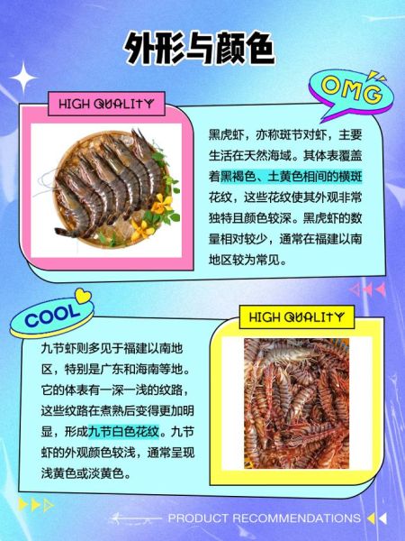 九节虾和黑虎虾的区别_哪个更好吃-第1张图片-山城妙识 九节虾和黑虎虾的区别_哪个更好吃-第1张图片-山城妙识