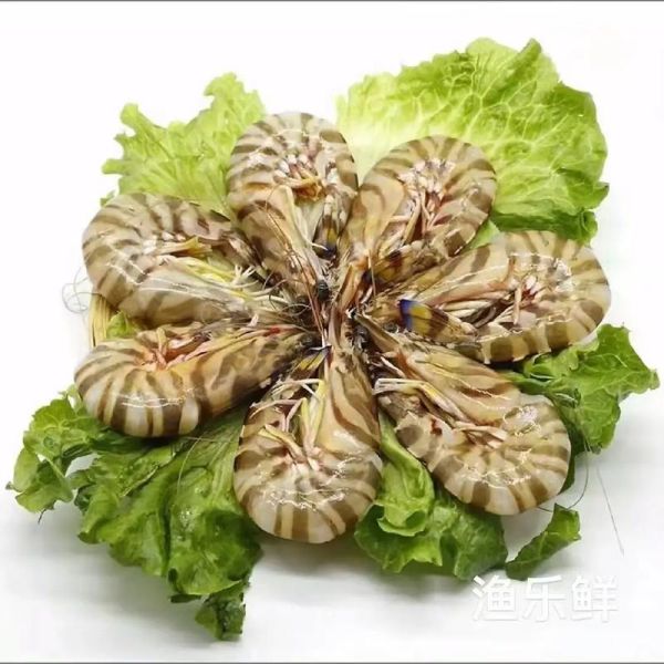 九节虾和黑虎虾的区别_哪个更好吃-第3张图片-山城妙识 九节虾和黑虎虾的区别_哪个更好吃-第3张图片-山城妙识