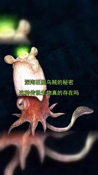 深海乌贼王真的存在吗_深海巨型乌贼最大有多大-第1张图片-山城妙识 深海乌贼王真的存在吗_深海巨型乌贼最大有多大-第1张图片-山城妙识