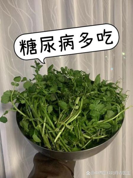 吃什么菜降血糖最快_糖尿病人吃什么蔬菜最好-第1张图片-山城妙识 吃什么菜降血糖最快_糖尿病人吃什么蔬菜最好-第1张图片-山城妙识