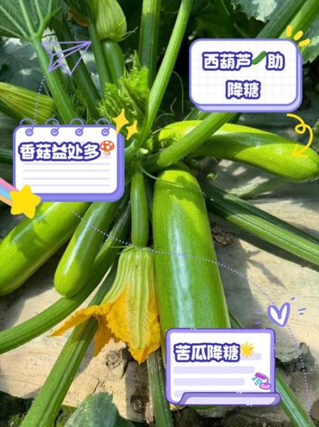 吃什么菜降血糖最快_糖尿病人吃什么蔬菜最好-第2张图片-山城妙识 吃什么菜降血糖最快_糖尿病人吃什么蔬菜最好-第2张图片-山城妙识