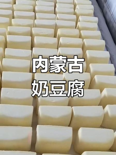 内蒙奶豆腐怎么吃_奶豆腐的做法大全-第2张图片-山城妙识