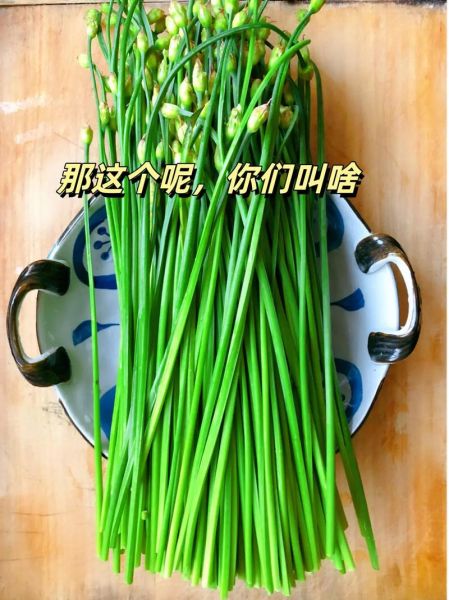 蒜薹是什么_蒜薹和蒜苗的区别-第3张图片-山城妙识 蒜薹是什么_蒜薹和蒜苗的区别-第3张图片-山城妙识