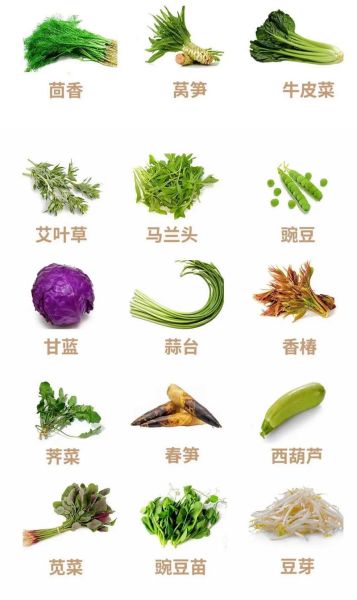 常见蔬菜名称大全_哪些蔬菜适合家庭种植-第3张图片-山城妙识
