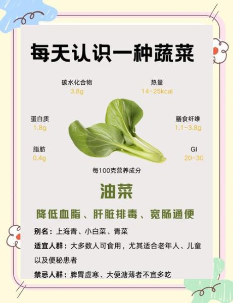 常见蔬菜名称大全_哪些蔬菜适合家庭种植-第2张图片-山城妙识