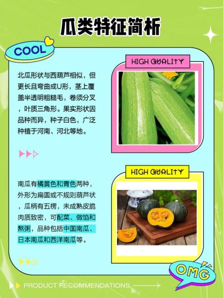 世界上有北瓜吗_北瓜是什么瓜-第1张图片-山城妙识 世界上有北瓜吗_北瓜是什么瓜-第1张图片-山城妙识