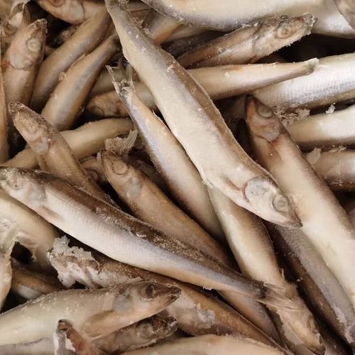 多宝鱼怎么杀_多宝鱼怎么处理干净-第3张图片-山城妙识 多宝鱼怎么杀_多宝鱼怎么处理干净-第3张图片-山城妙识