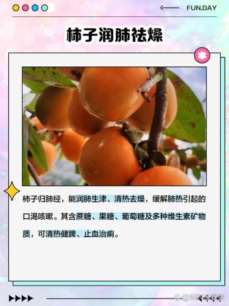 吃柿子有什么好处_柿子对人身体有什么好处-第3张图片-山城妙识 吃柿子有什么好处_柿子对人身体有什么好处-第3张图片-山城妙识