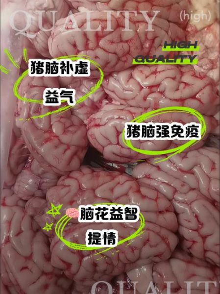 脑花营养价值高吗_脑花吃多了有什么危害-第2张图片-山城妙识