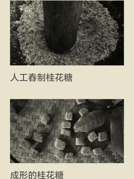 桂花糖怎么做_家常做法步骤详解-第2张图片-山城妙识 桂花糖怎么做_家常做法步骤详解-第2张图片-山城妙识