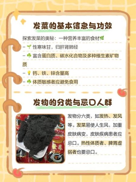 发菜不能和什么一起吃_发菜食用禁忌有哪些-第1张图片-山城妙识 发菜不能和什么一起吃_发菜食用禁忌有哪些-第1张图片-山城妙识