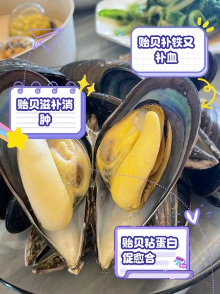 贻贝怎么清洗_贻贝清洗方法-第1张图片-山城妙识 贻贝怎么清洗_贻贝清洗方法-第1张图片-山城妙识