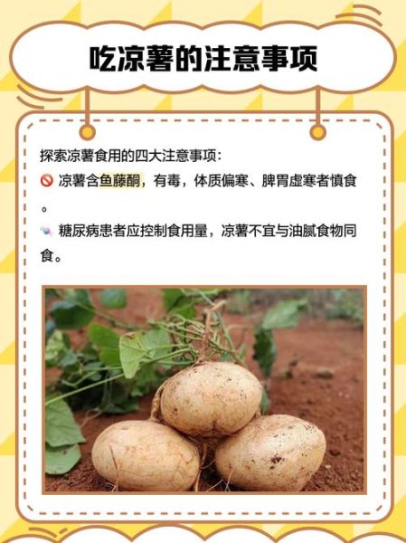 凉薯是什么_凉薯怎么吃-第1张图片-山城妙识 凉薯是什么_凉薯怎么吃-第1张图片-山城妙识