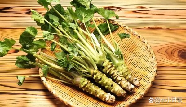 黄芥末怎么做_黄芥末和绿芥末区别-第3张图片-山城妙识 黄芥末怎么做_黄芥末和绿芥末区别-第3张图片-山城妙识