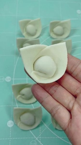 包饺子怎么包_新手包饺子视频教程-第3张图片-山城妙识 包饺子怎么包_新手包饺子视频教程-第3张图片-山城妙识