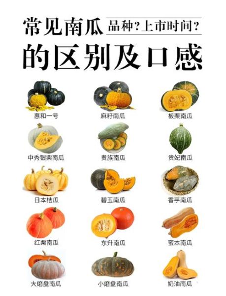 南瓜和倭瓜的区别_倭瓜和南瓜哪个好吃-第3张图片-山城妙识 南瓜和倭瓜的区别_倭瓜和南瓜哪个好吃-第3张图片-山城妙识
