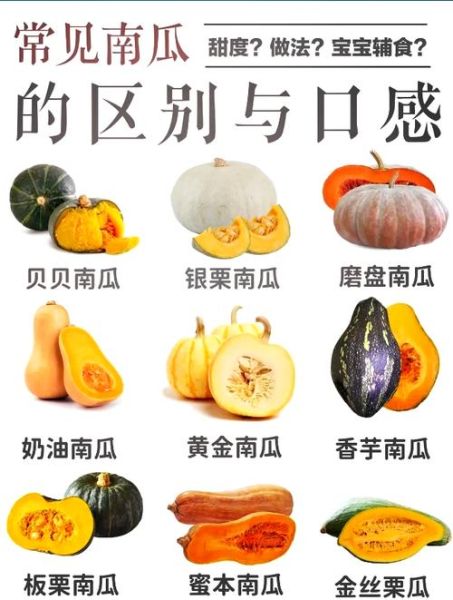 南瓜和倭瓜的区别_倭瓜和南瓜哪个好吃-第2张图片-山城妙识 南瓜和倭瓜的区别_倭瓜和南瓜哪个好吃-第2张图片-山城妙识
