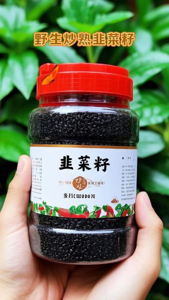 炒韭菜子功效与作用_炒韭菜子怎么吃最好-第3张图片-山城妙识 炒韭菜子功效与作用_炒韭菜子怎么吃最好-第3张图片-山城妙识