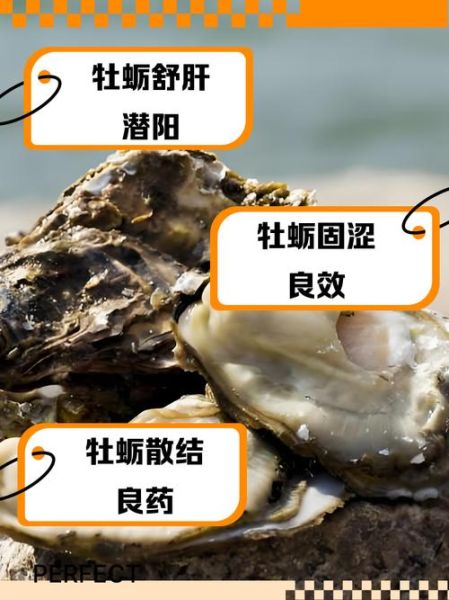 牡蛎的功效与作用_牡蛎主治什么病-第2张图片-山城妙识 牡蛎的功效与作用_牡蛎主治什么病-第2张图片-山城妙识