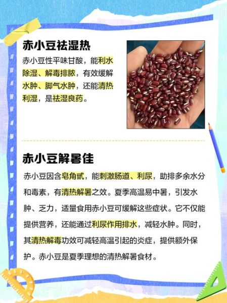 体寒能吃赤小豆吗_赤小豆适合体寒人群吗-第1张图片-山城妙识 体寒能吃赤小豆吗_赤小豆适合体寒人群吗-第1张图片-山城妙识
