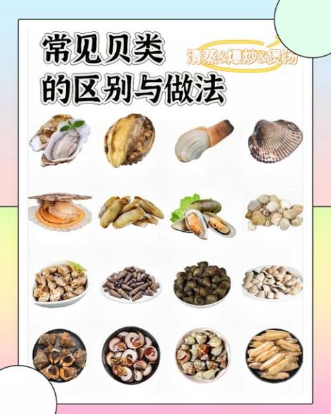 贝壳类大全有哪些_如何挑选新鲜贝壳-第1张图片-山城妙识 贝壳类大全有哪些_如何挑选新鲜贝壳-第1张图片-山城妙识