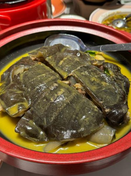 甲鱼怎么吃营养价值高_甲鱼汤怎么炖最补-第3张图片-山城妙识 甲鱼怎么吃营养价值高_甲鱼汤怎么炖最补-第3张图片-山城妙识