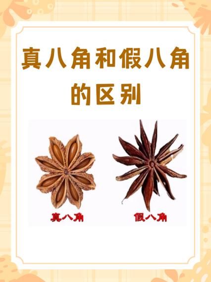 八角怎么挑选_八角真假辨别方法-第1张图片-山城妙识