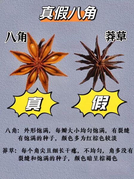 八角怎么挑选_八角真假辨别方法-第2张图片-山城妙识
