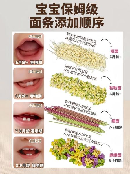 婴儿米粉怎么做_婴儿米粉添加顺序-第3张图片-山城妙识 婴儿米粉怎么做_婴儿米粉添加顺序-第3张图片-山城妙识