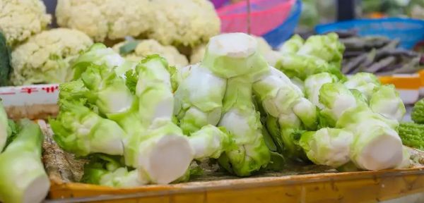 儿菜又叫什么名字_儿菜和棒菜是不是同一种蔬菜-第2张图片-山城妙识 儿菜又叫什么名字_儿菜和棒菜是不是同一种蔬菜-第2张图片-山城妙识