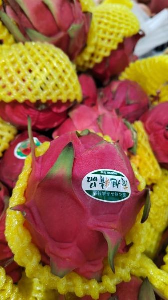 火龙果说电影怎么样_火龙果说电影好看吗-第3张图片-山城妙识