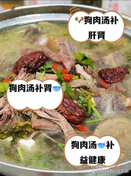 狗肉和什么一起炖大补_狗肉炖什么最补-第1张图片-山城妙识 狗肉和什么一起炖大补_狗肉炖什么最补-第1张图片-山城妙识