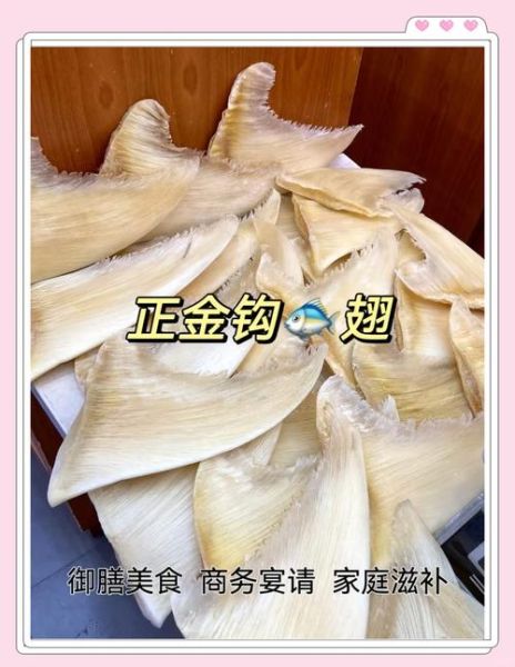 鱼翅的营养价值与功效_鱼翅的禁忌人群有哪些-第1张图片-山城妙识 鱼翅的营养价值与功效_鱼翅的禁忌人群有哪些-第1张图片-山城妙识