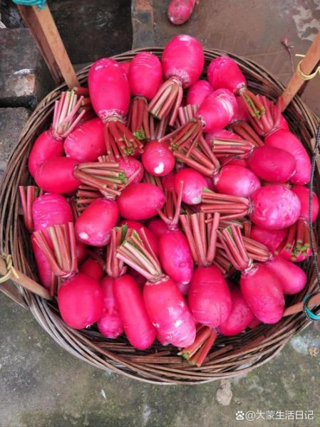 红皮萝卜怎么做好吃_红皮萝卜的家常做法-第2张图片-山城妙识 红皮萝卜怎么做好吃_红皮萝卜的家常做法-第2张图片-山城妙识