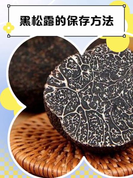 黑松露怎么保存_黑松露多少钱一斤-第1张图片-山城妙识 黑松露怎么保存_黑松露多少钱一斤-第1张图片-山城妙识