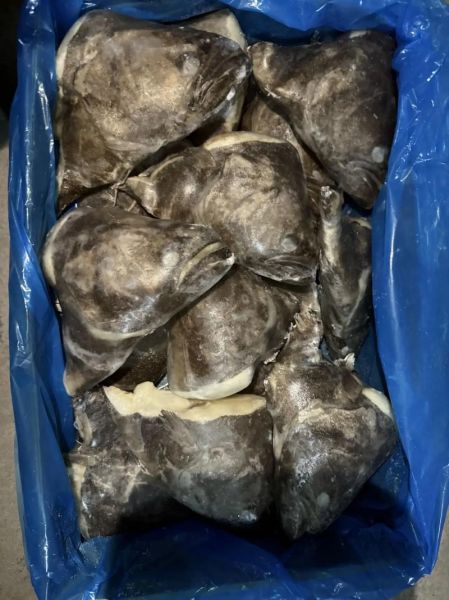 鲽鱼为什么都是冷冻的_冷冻鲽鱼口感会差吗-第3张图片-山城妙识